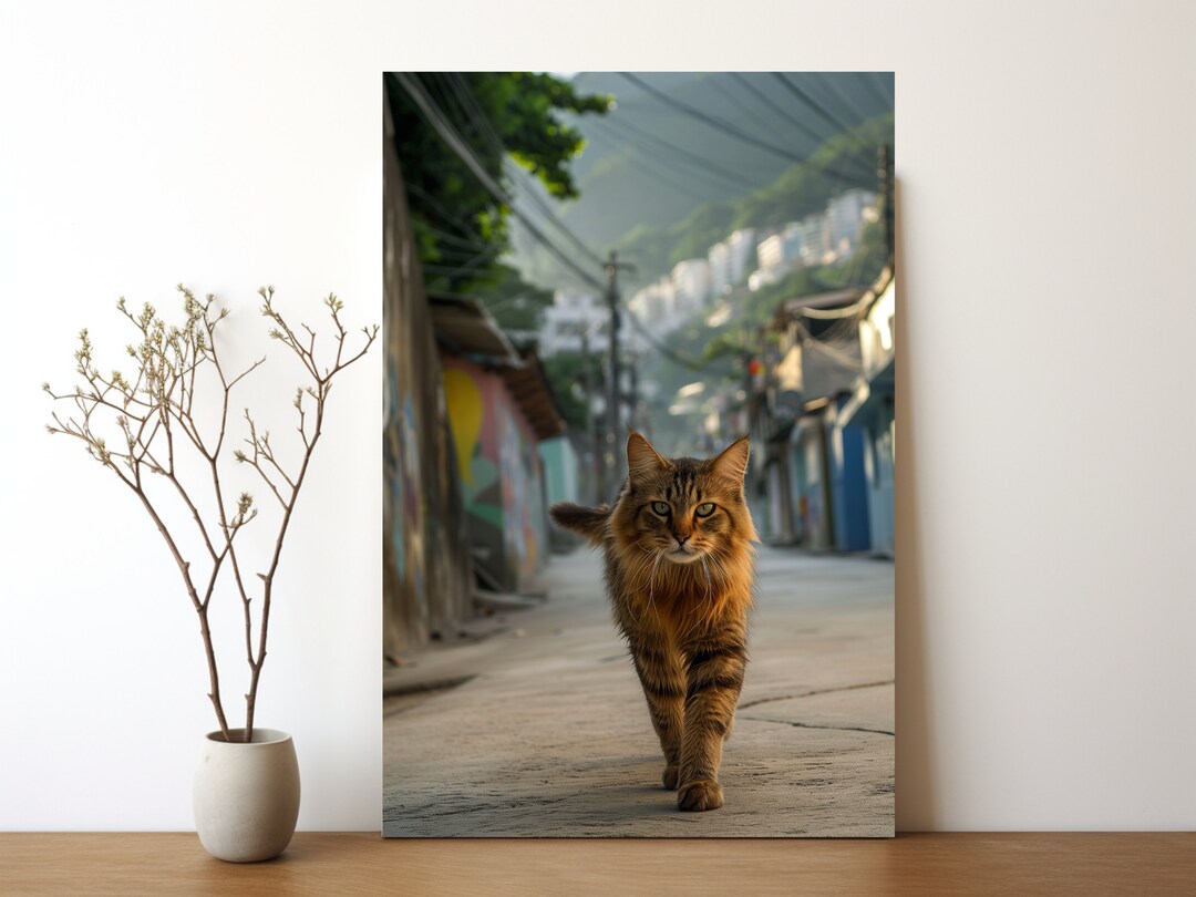 Maine Coon Walking in a Favela in Rio, Cat, Digital Wall Art, Wall Art ...
