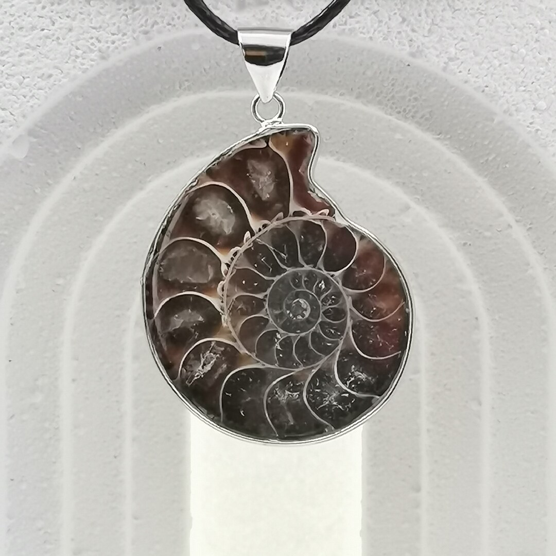 Ammonite Ammonite Pendant Natural Stone Necklace Semi Precious Stone ...