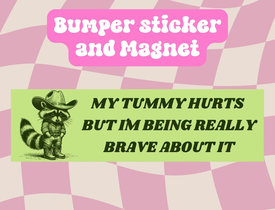 My Tummy Hurts but Im Being Really Brave About It Funny Raccoon Meme ...