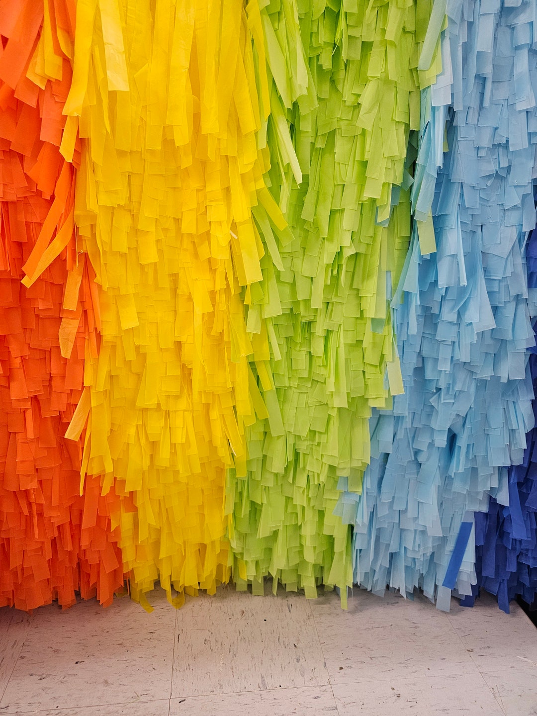 Plastic Customize Fringe Backdrop for Party Colorful Party Backdrop ...