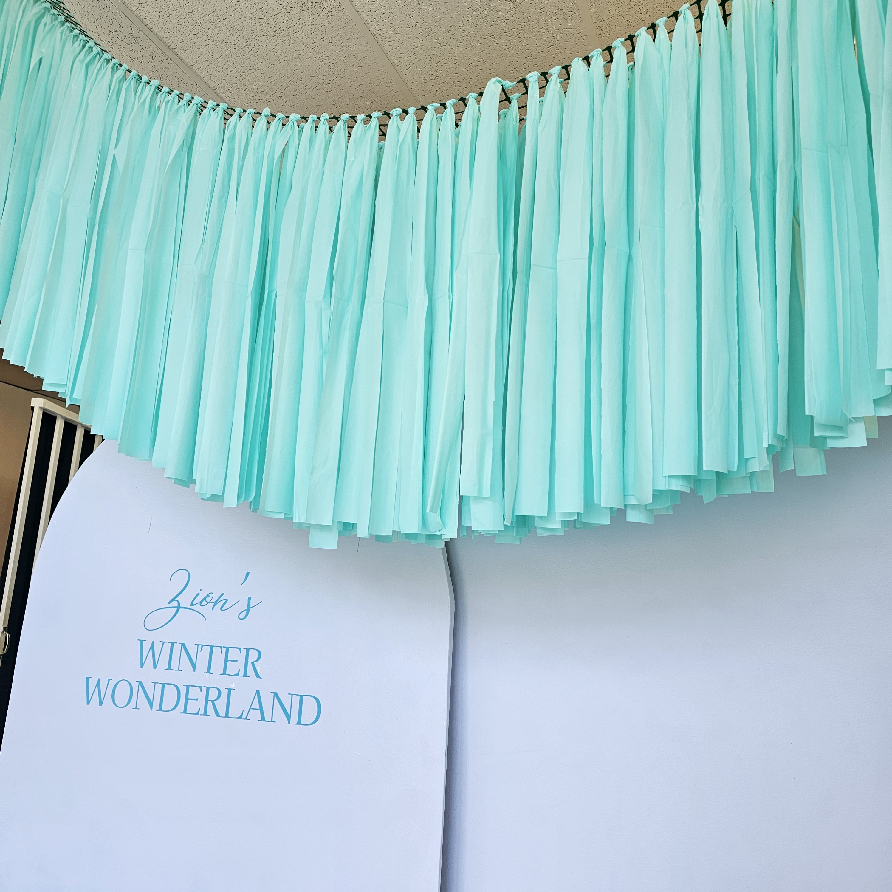 Teal Plastic Fringe: Party Ceiling Backdrop Decoration - Etsy