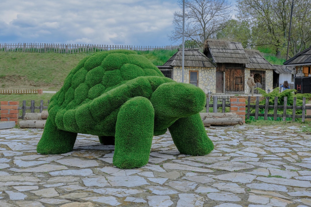 Turtle Artificial Grass Topiary Fugures - Etsy