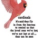 Cardinal Embroidery Designs Cardinal Memorial Quote Embroidery Designs ...