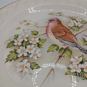Royal Worcester Spode Palissy Linnet Plate, Decorative Birds, Fruit ...