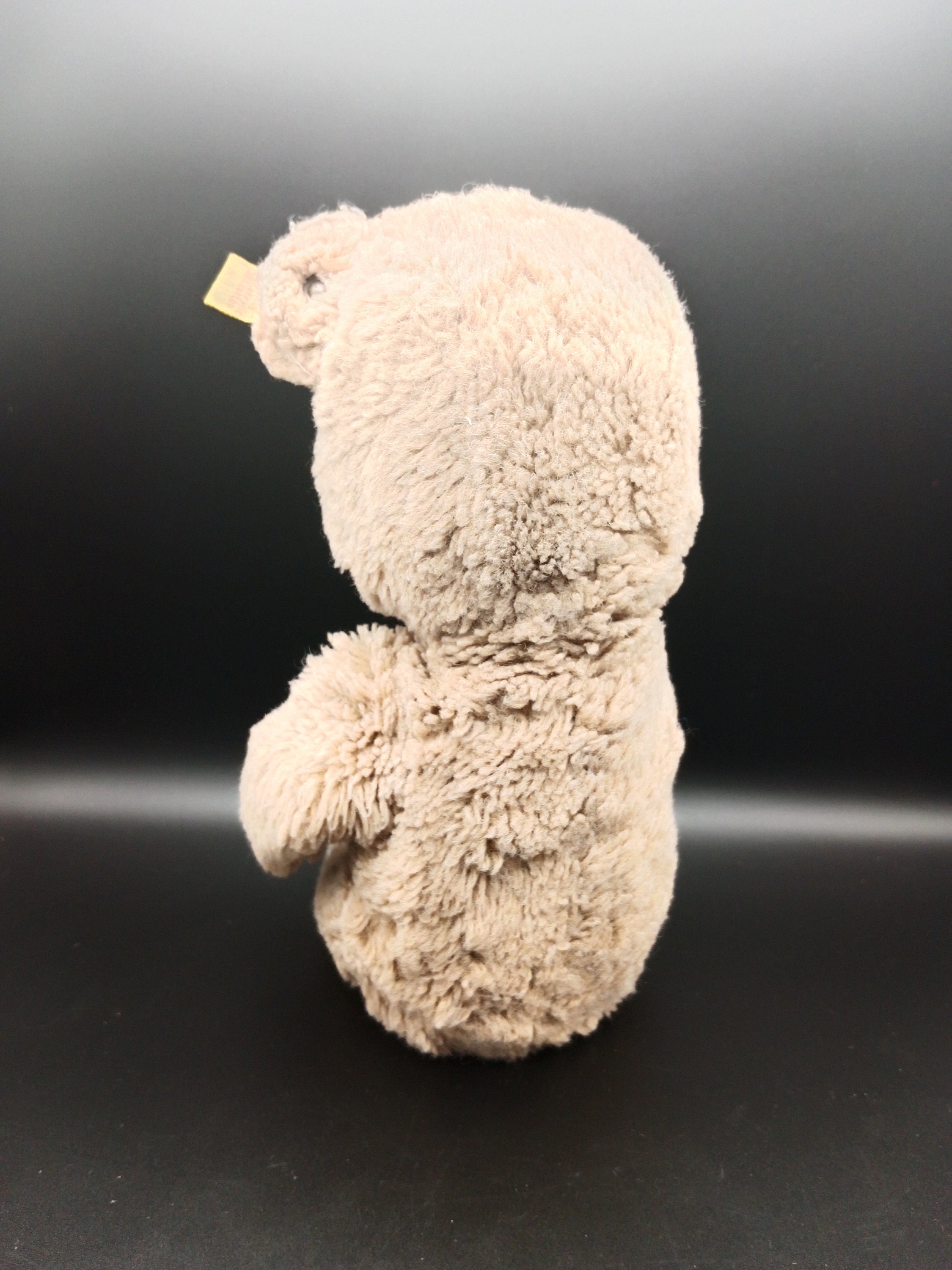 Original Steiff Teddy Bear, Sitting Position, 8 1/2" Tall, Good ...