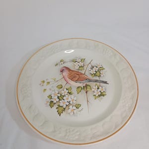 Royal Worcester Spode Palissy Linnet Plate, Decorative Birds, Fruit ...