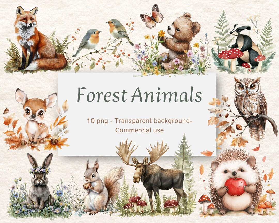 Forest Animals Watercolor Clipart Bundle | Fox, Deer, Owl, and Woodland ...