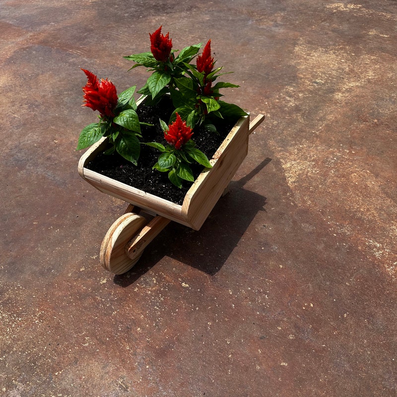 Wheelbarrow Planter - Etsy