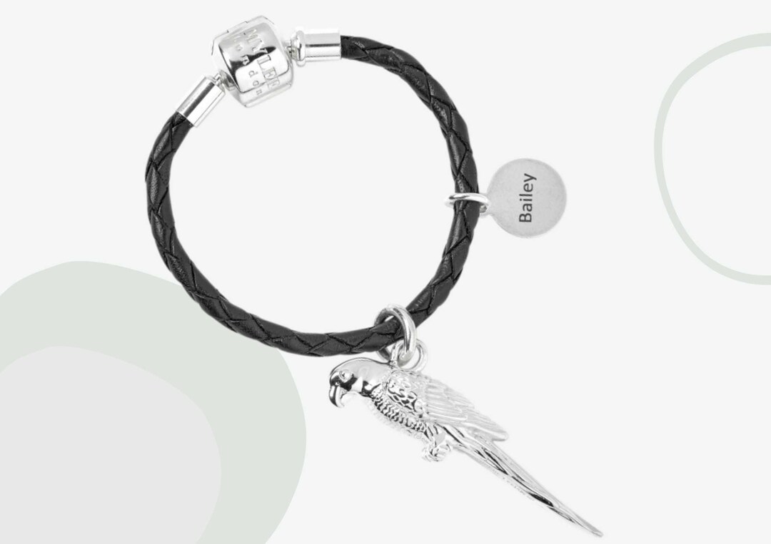 Parrot Silver Keyring - Etsy