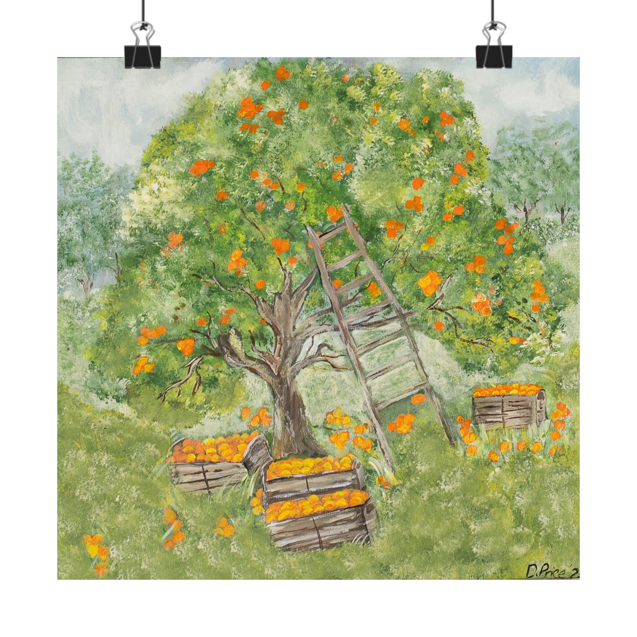 Old Florida Orange Tree - Etsy