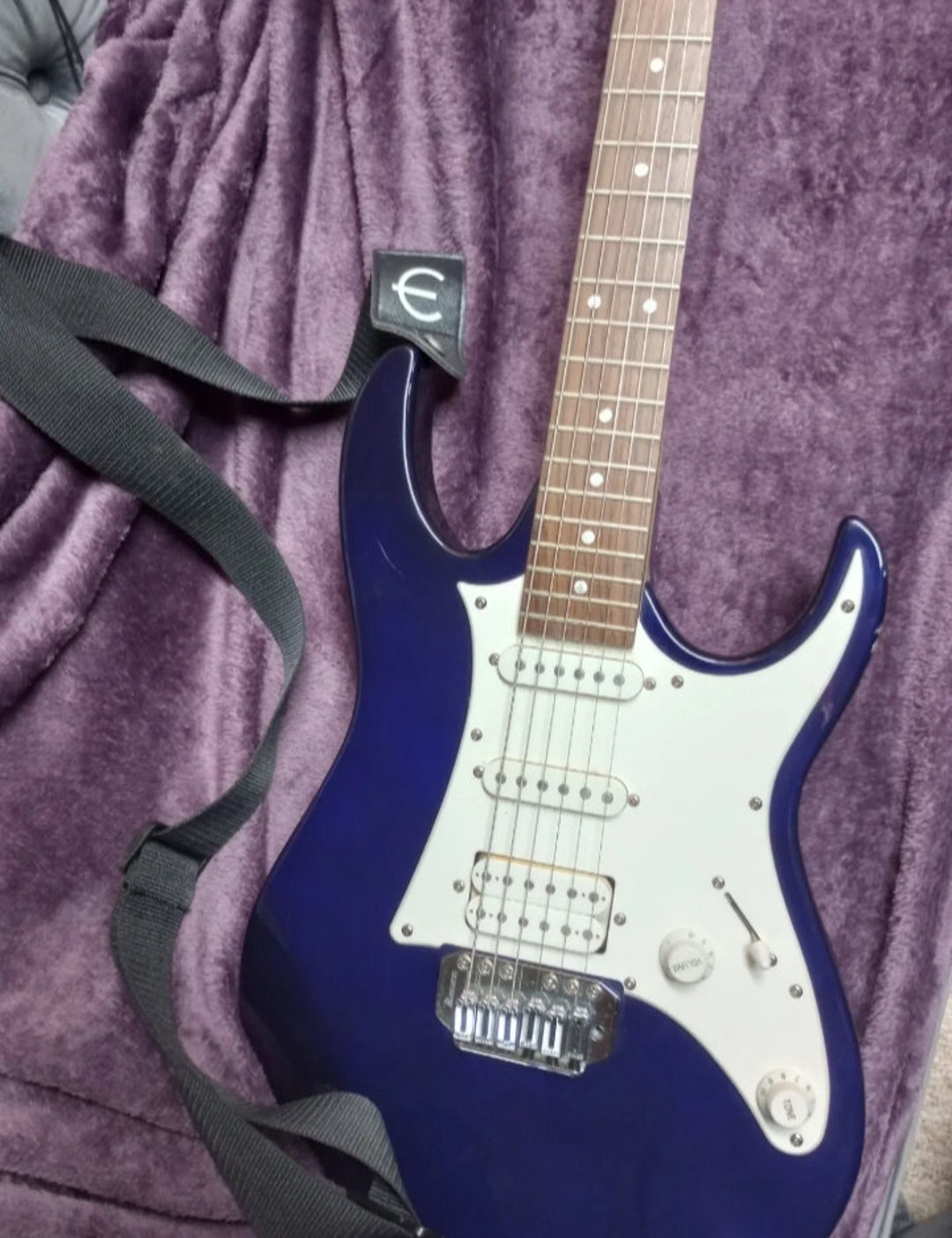 Ibanez Rio Blue and White Guitar No Serial Number - Etsy