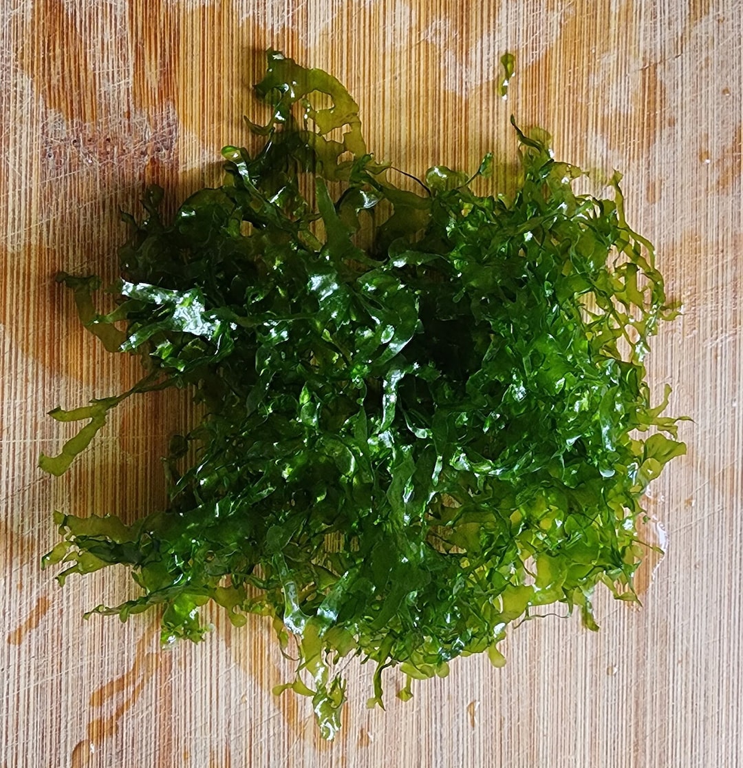 Subwassertang Aquarium Plant Süsswassertang Round Pellia - Etsy