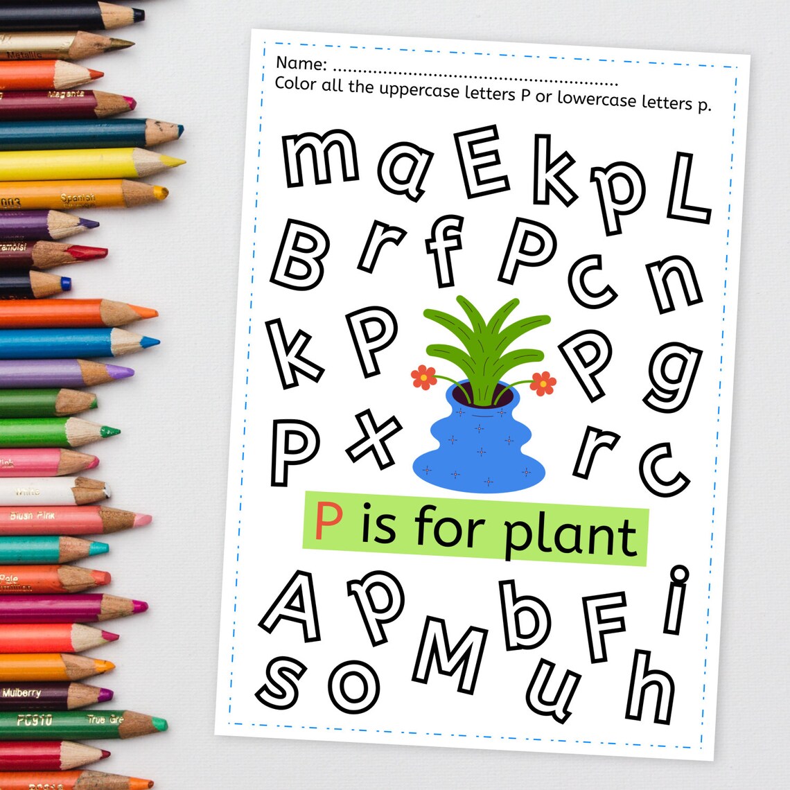 4 Printable Letter P Puzzle-exercise Sheets for Kindergartener and ...