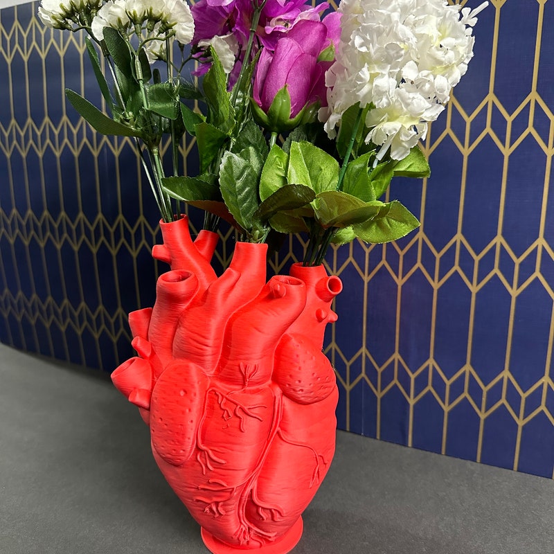 Anatomical Heart Vase - Etsy