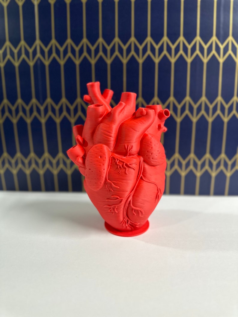 Large Anatomically Correct Vase Heart Large - Etsy