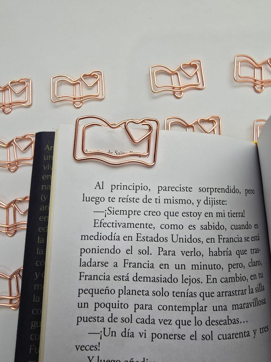 Cute Shaped Paper Clips – Book, Heart, Paw, Tulip Paper Clips – Metal ...