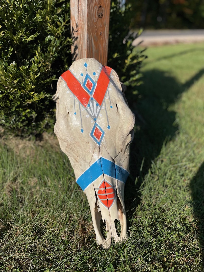 Authentic Hand Painted Cow Skull - Etsy