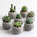 Woven Texture Planters Natural and Elegant Style for Your Plants - Etsy