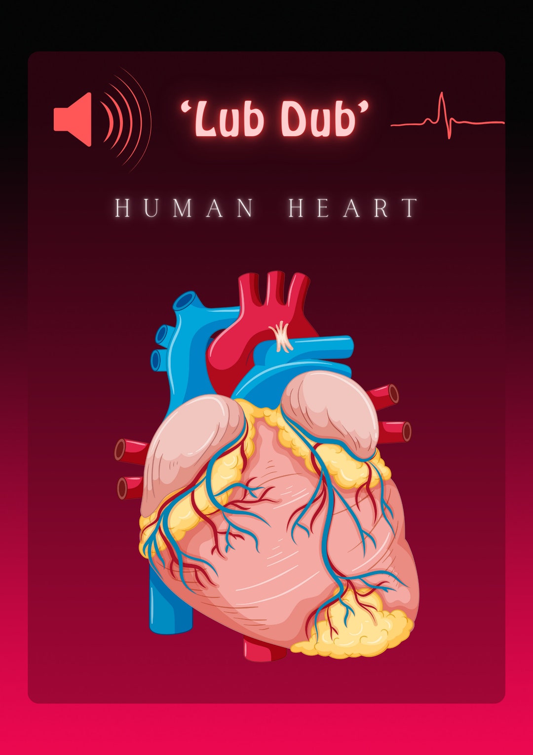 Human Body Organs Posters - Etsy