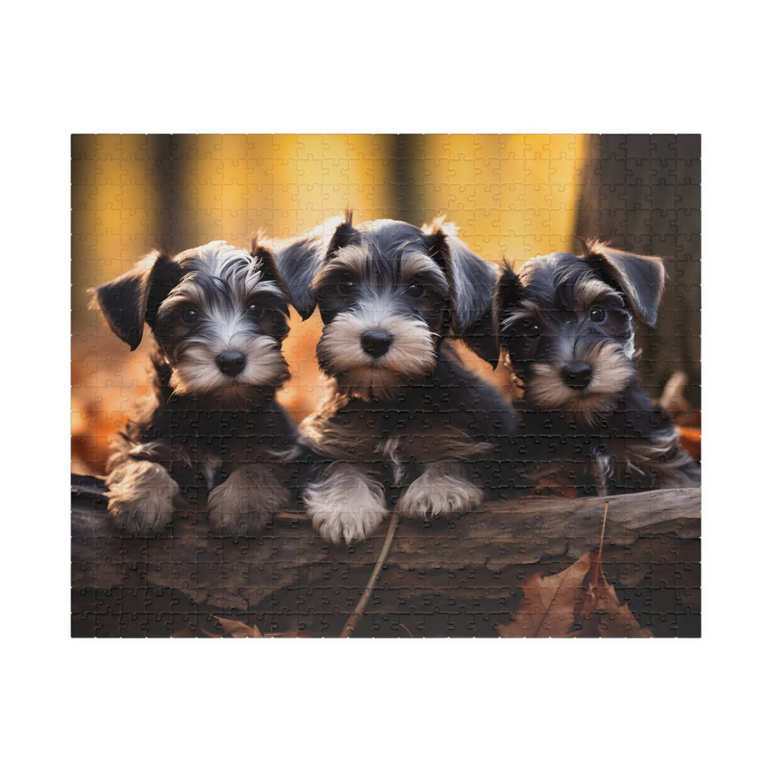 Salt and Pepper Schnauzer Puppies Jigsaw. Dog Portait Puzzle. Relaxing ...