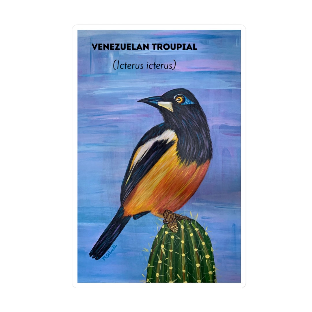Venezuelan Troupial, Bird Sticker, Kiss-cut Vinyl Decal, Laptop Sticker ...