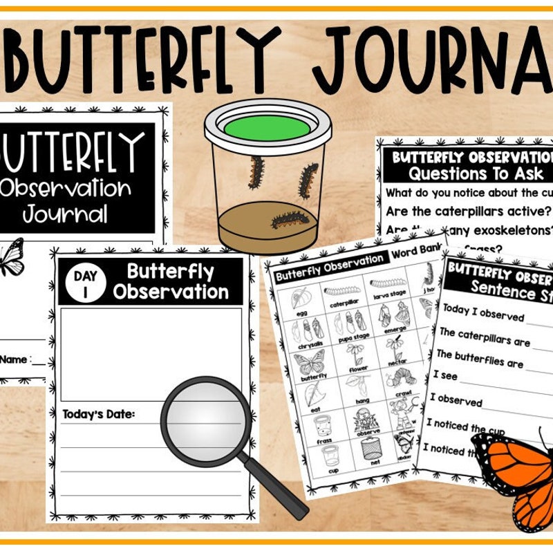 Butterfly Journal - Etsy