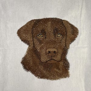 Chocolate Labrador Retriever Dog Machine Embroidery Design - 5 Sizes ...