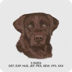 Chocolate Labrador Retriever Dog Machine Embroidery Design 5 Sizes ...