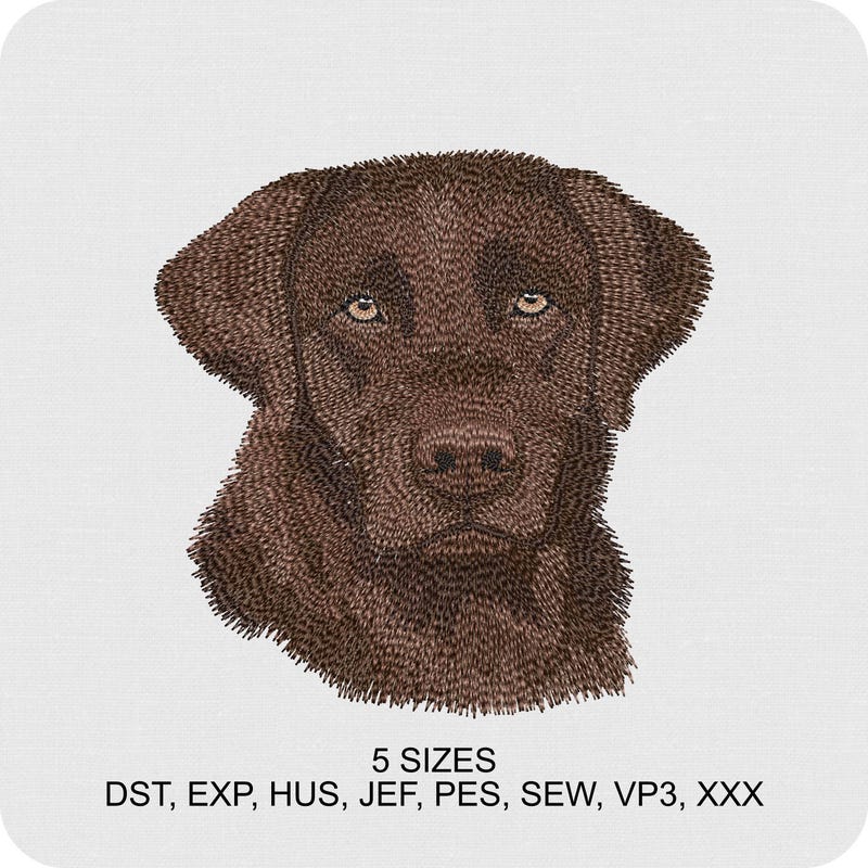 Lab Embroidery Design - Etsy