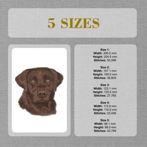 Chocolate Labrador Retriever Dog Machine Embroidery Design - 5 Sizes ...