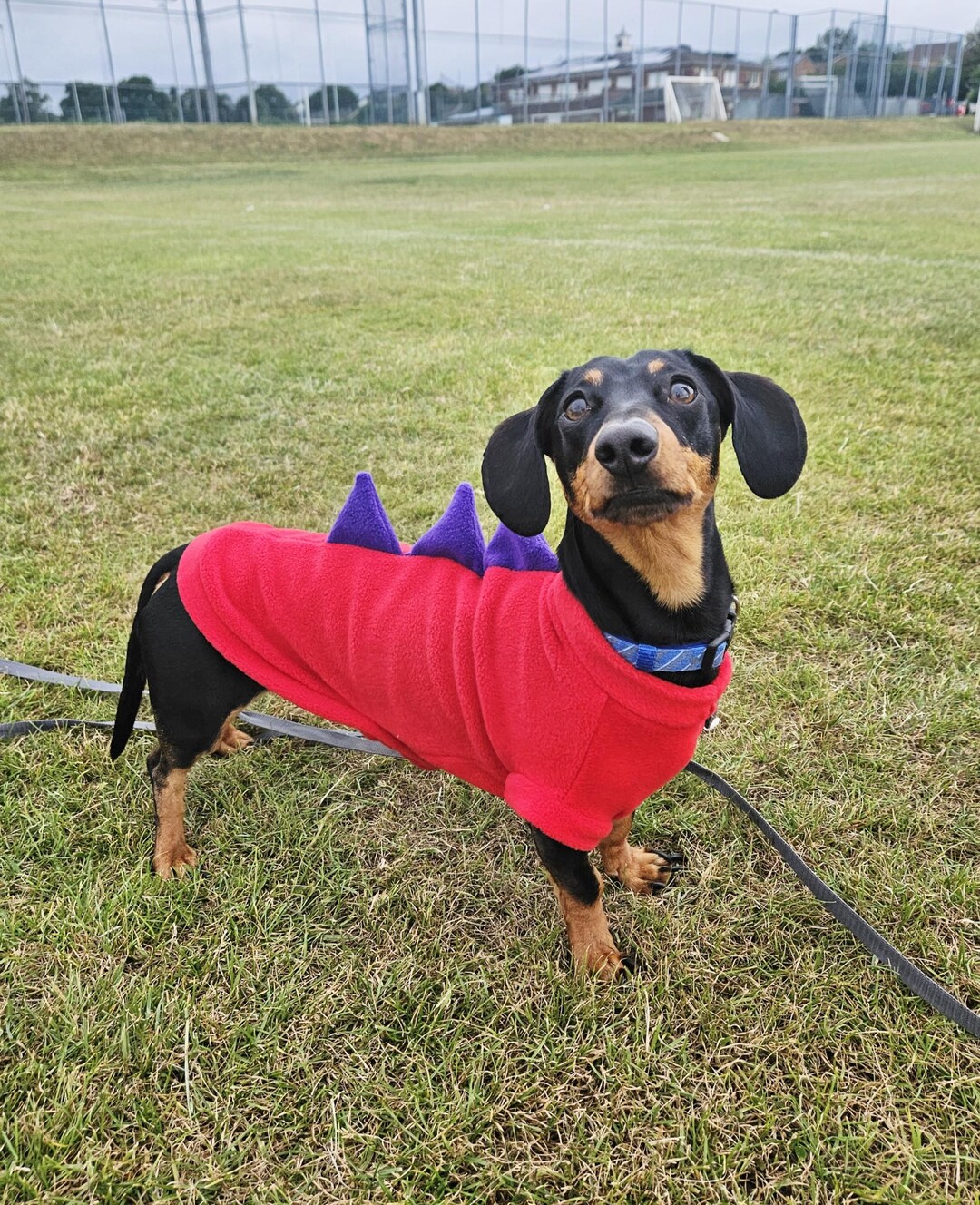 Dinosaur Dachshund Fleece Jumper, Coat, Water Repellent, Anti Pill ...
