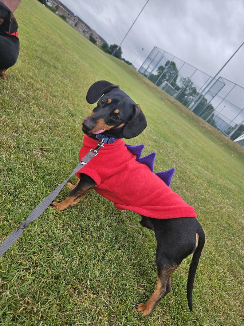 Dinosaur Dachshund Fleece Jumper, Coat, Water Repellent, Anti Pill ...