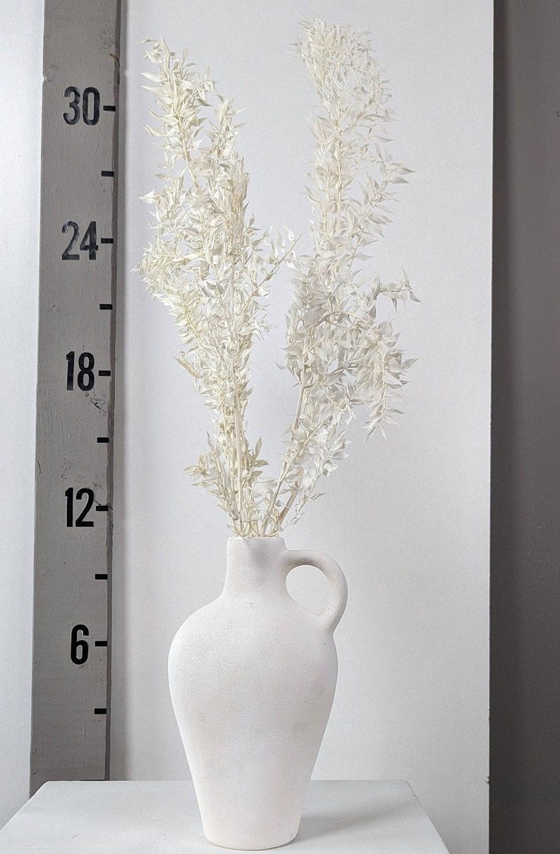 20 STEMS Bleached Dried Italian Ruscus Dried Greenery Home Decor Floral ...