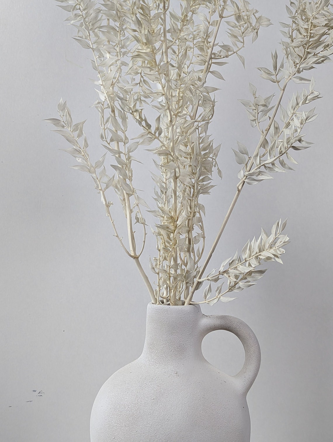 20 STEMS Bleached Dried Italian Ruscus Dried Greenery Home Decor Floral ...
