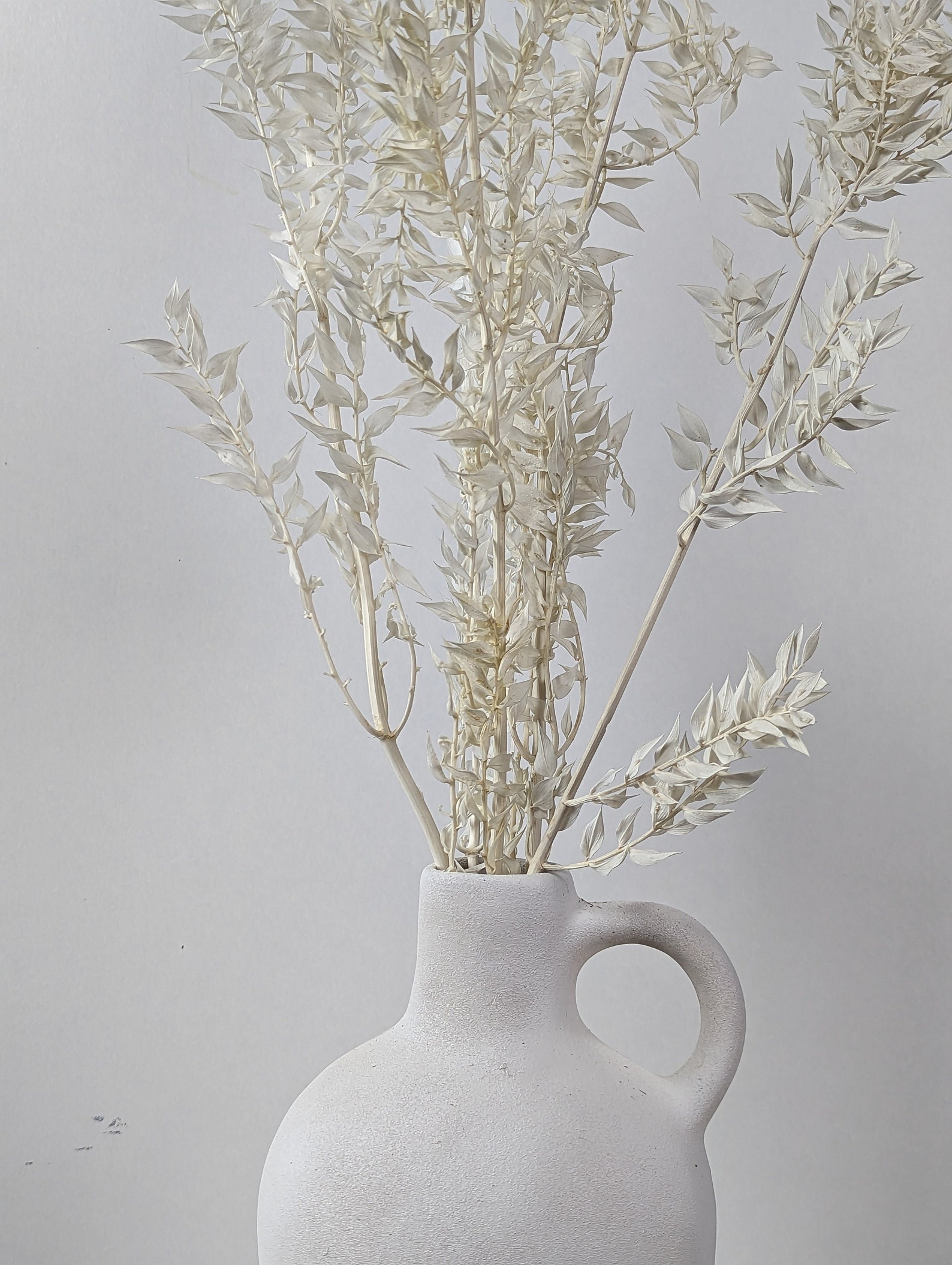 20 STEMS Bleached Dried Italian Ruscus Dried Greenery Home Decor Floral ...