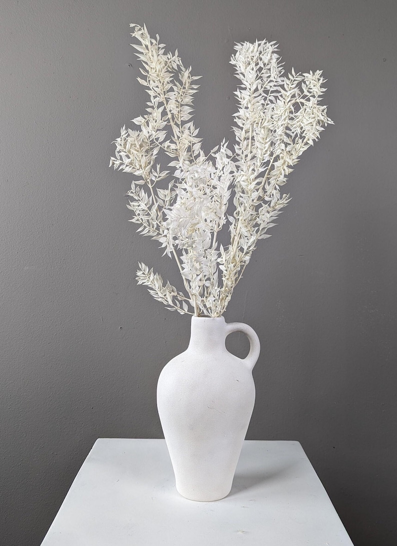 20 STEMS Bleached Dried Italian Ruscus Dried Greenery Home Decor Floral ...