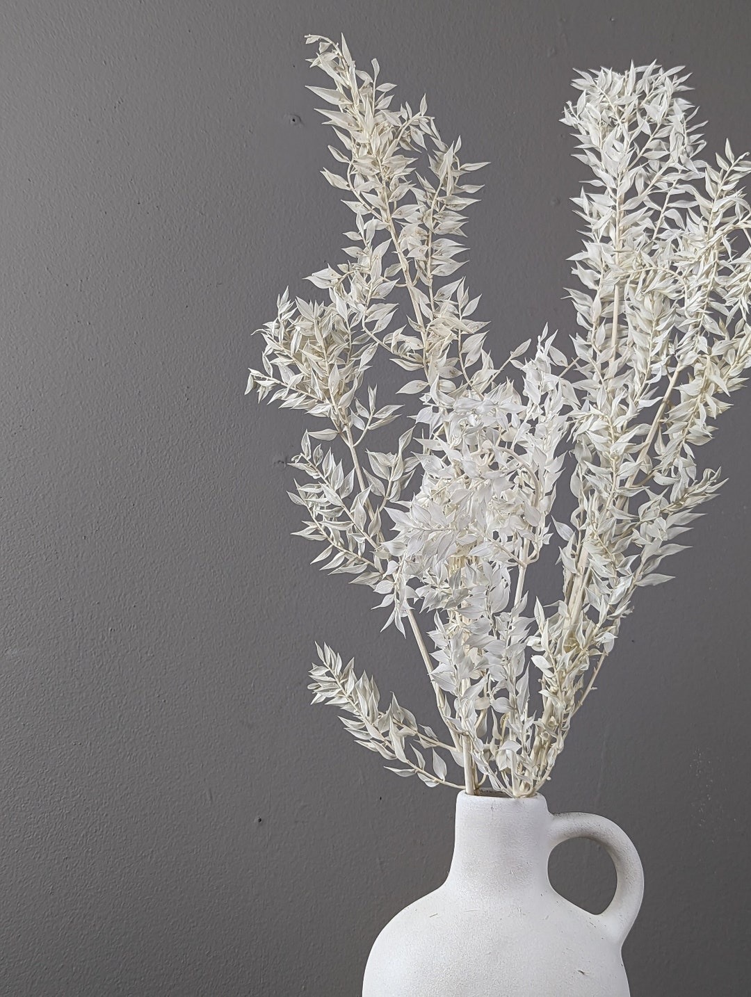 20 STEMS Bleached Dried Italian Ruscus Dried Greenery Home Decor Floral ...