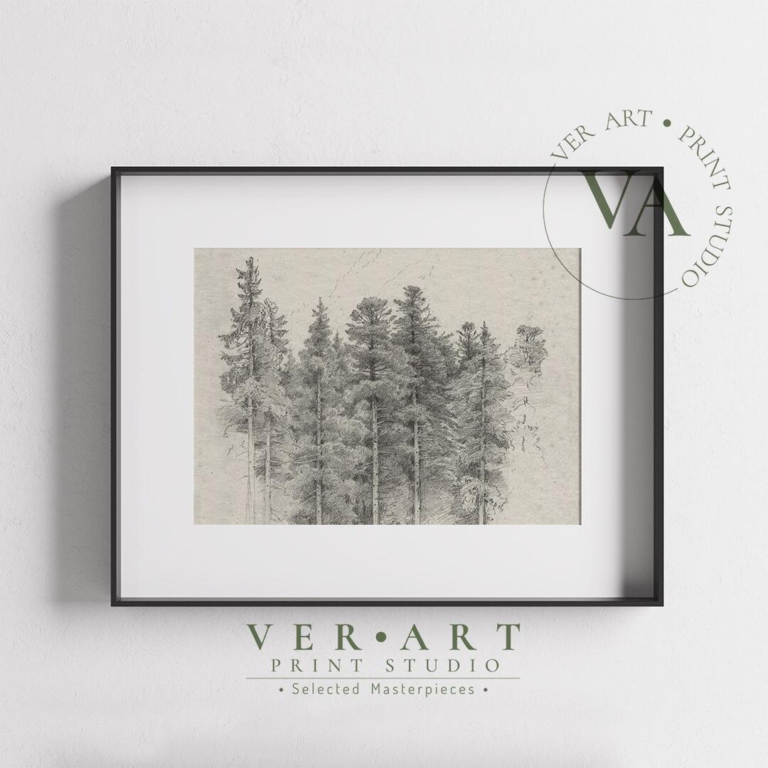 Winter Neutral Botanical Drawing, Vintage Nature-inspired Digital Wall ...