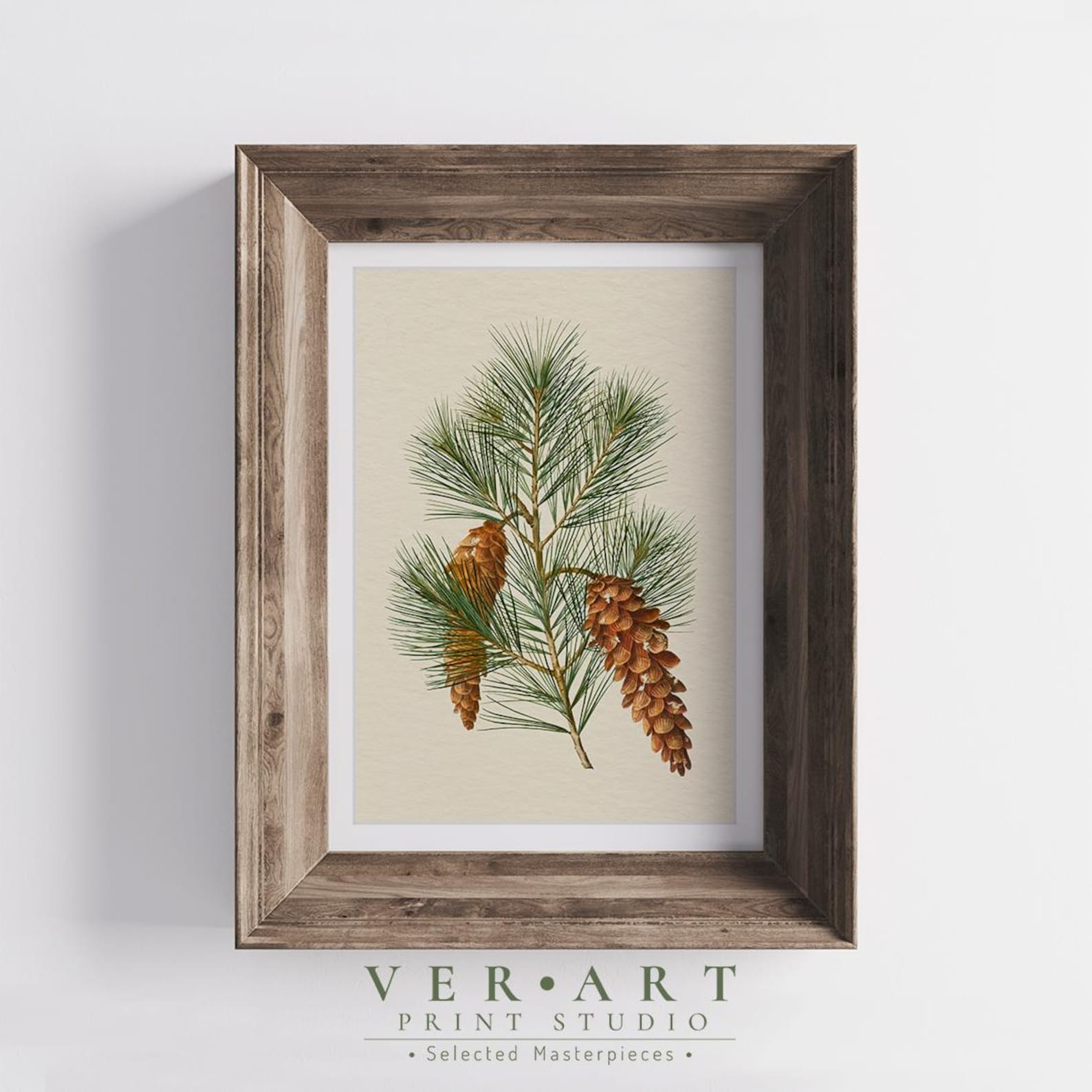 Vintage Pine Cone Wall Art Printable |pine Tree Branch Sketch | Digital ...