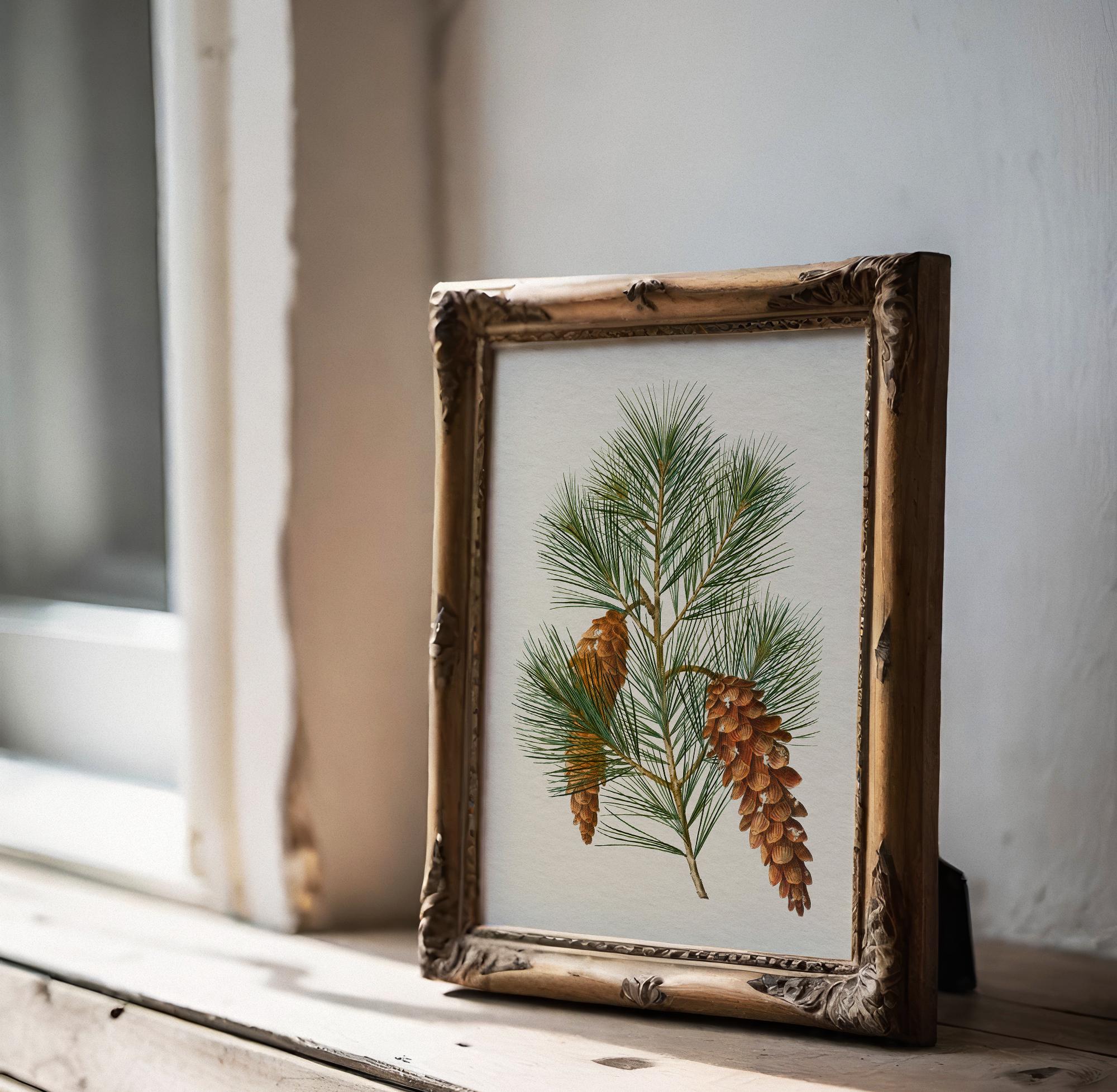 Vintage Pine Cone Wall Art Printable |pine Tree Branch Sketch | Digital ...