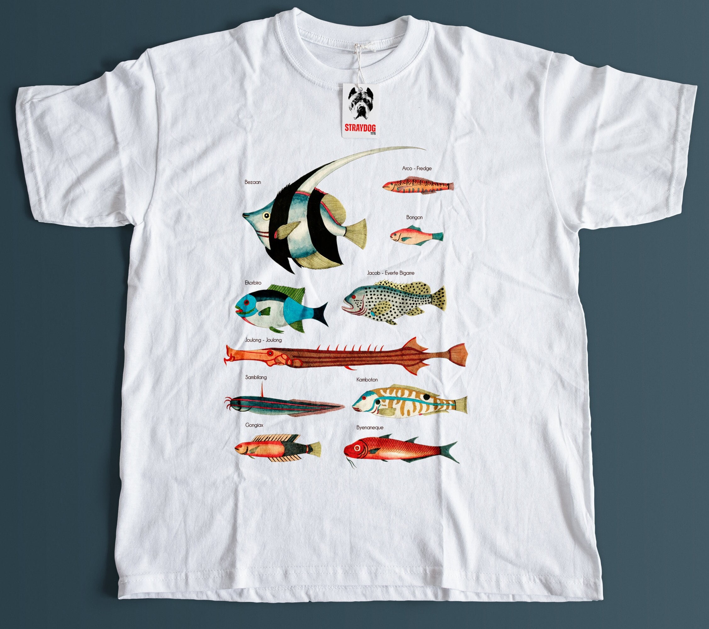 Vintage Fish Tshirt, Tropical Aquarium, Fishing Lover Gift, Tshirt ...