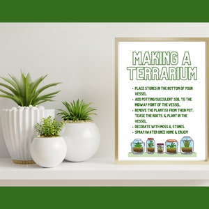 DIY Terrarium Instructions - Etsy