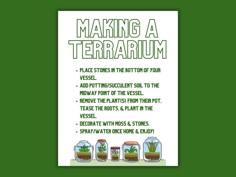 DIY Terrarium Instructions - Etsy