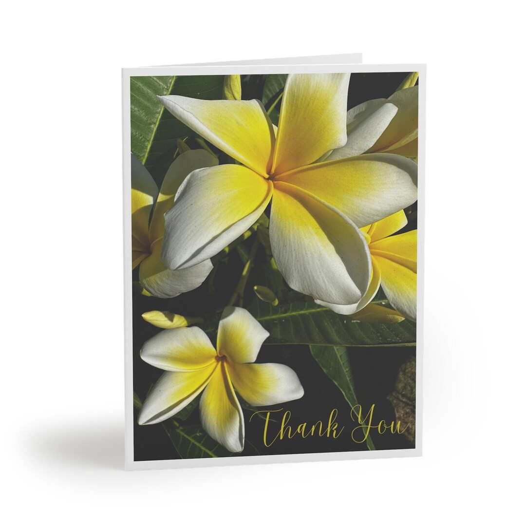 Plumeria Thank You Card Set With Envelopes/unique Floral Card Set ...