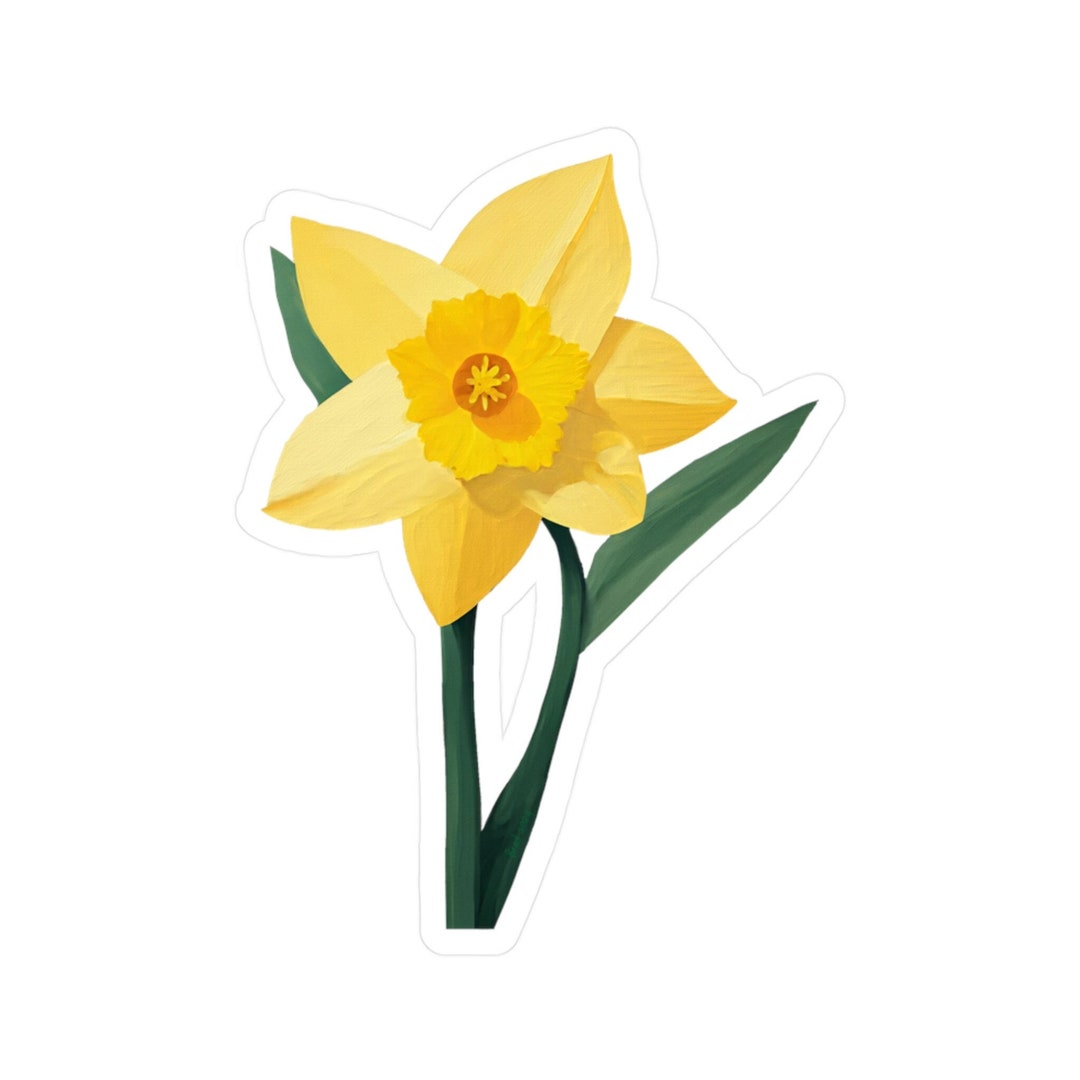 Cute Daffodil Sticker/floral Water Bottle Sticker/pretty Back to School ...