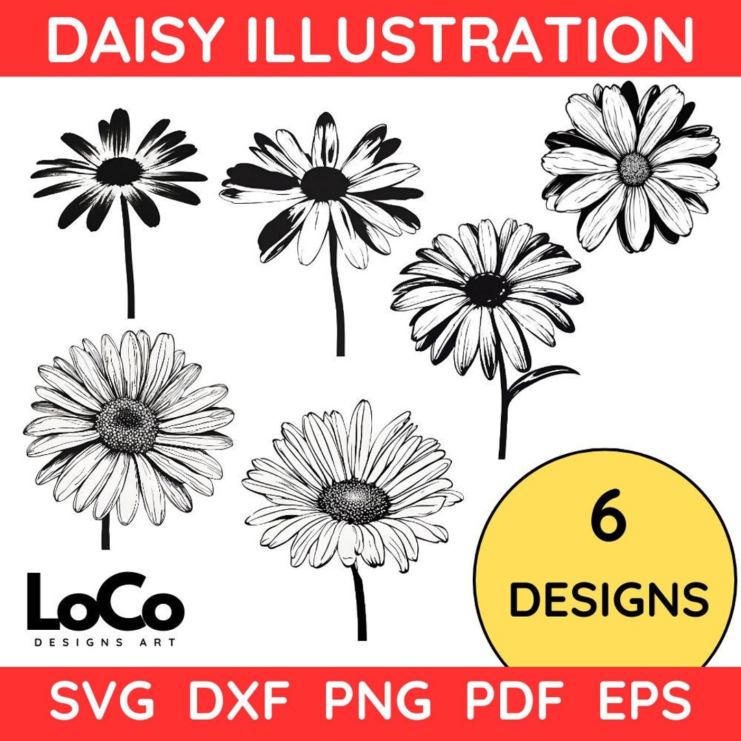 Daisy Illustration Bundle, Daisy SVG, Daisy Clipart, Daisy Designs ...