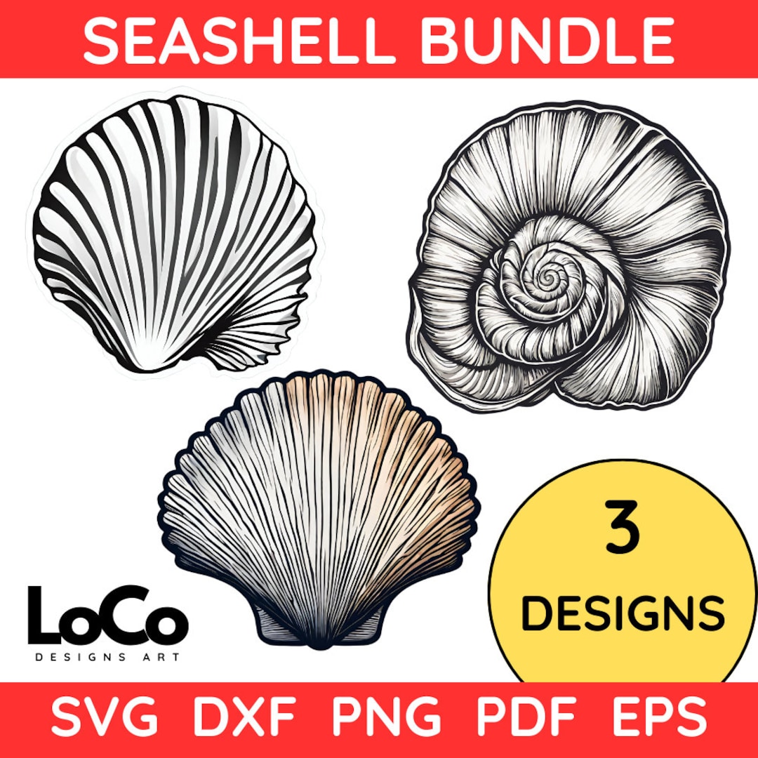 Seashell Bundle SVG, Seashell SVG, Seashells SVG, Seashell Clip Art ...