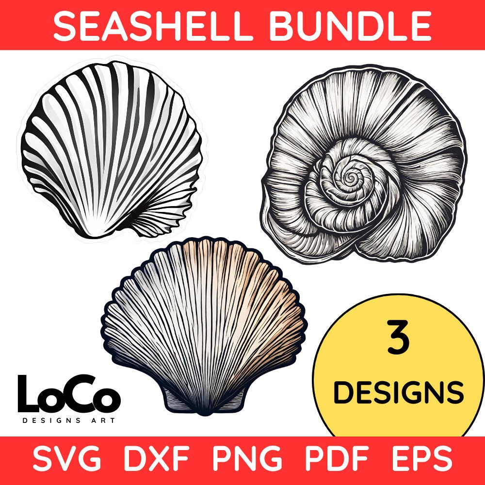 Seashell Bundle SVG, Seashell SVG, Seashells SVG, Seashell Clip Art ...