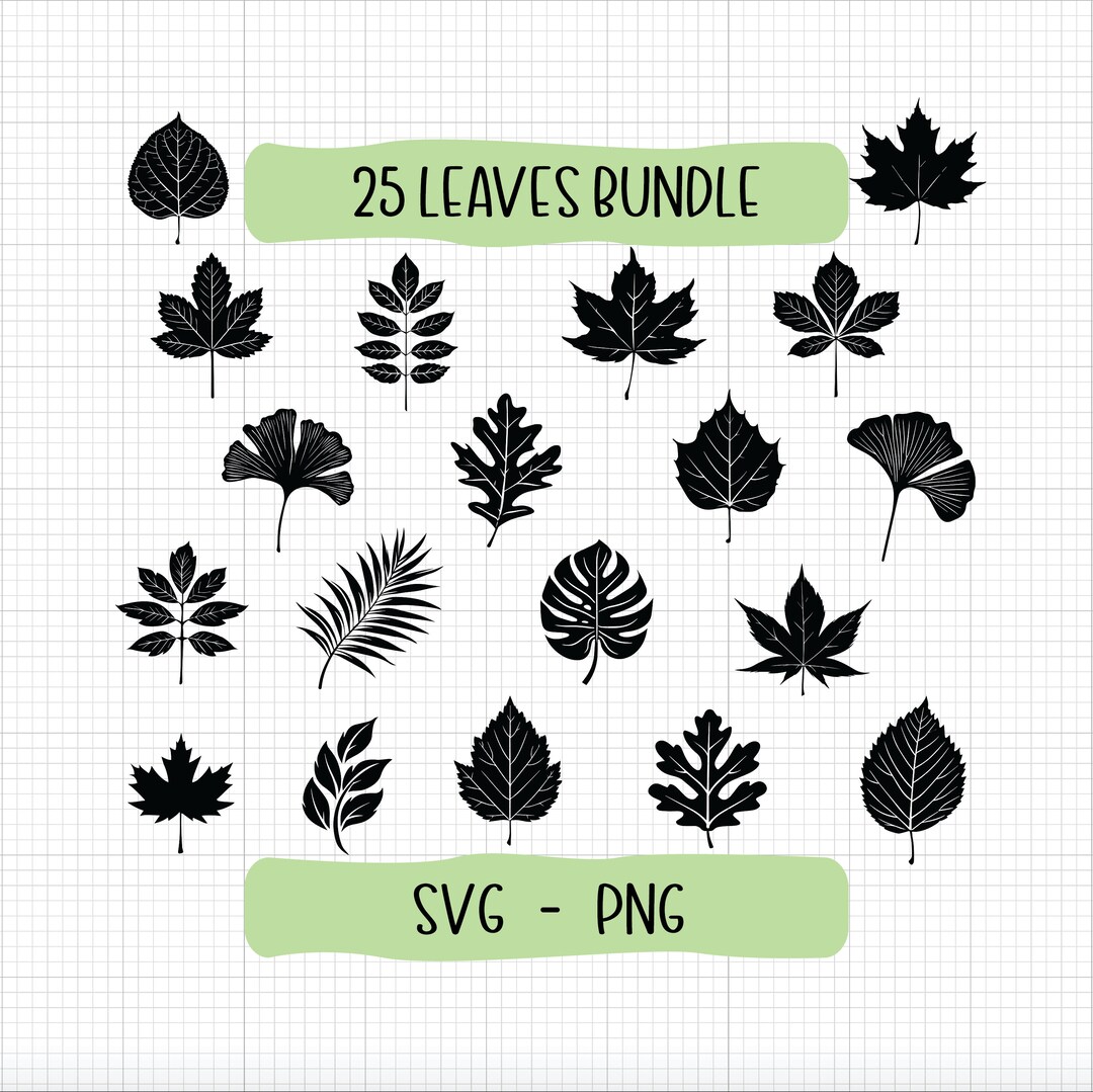 Leaf SVG Bundle, Leaves Svg Bundle, Plant Svg, Svg Cut Files for Cricut ...