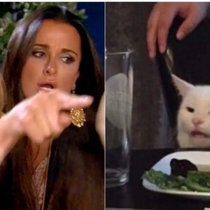 Woman Yelling at Cat Meme SVG, Funny Meme Svg, Woman Yelling at Cat Png ...